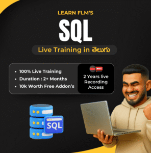 IT Courses in Telugu – Live & Practical Training |Frontlines Edutech